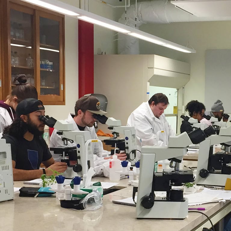 Undergraduate Biology Degree Programs | Southern Oregon University