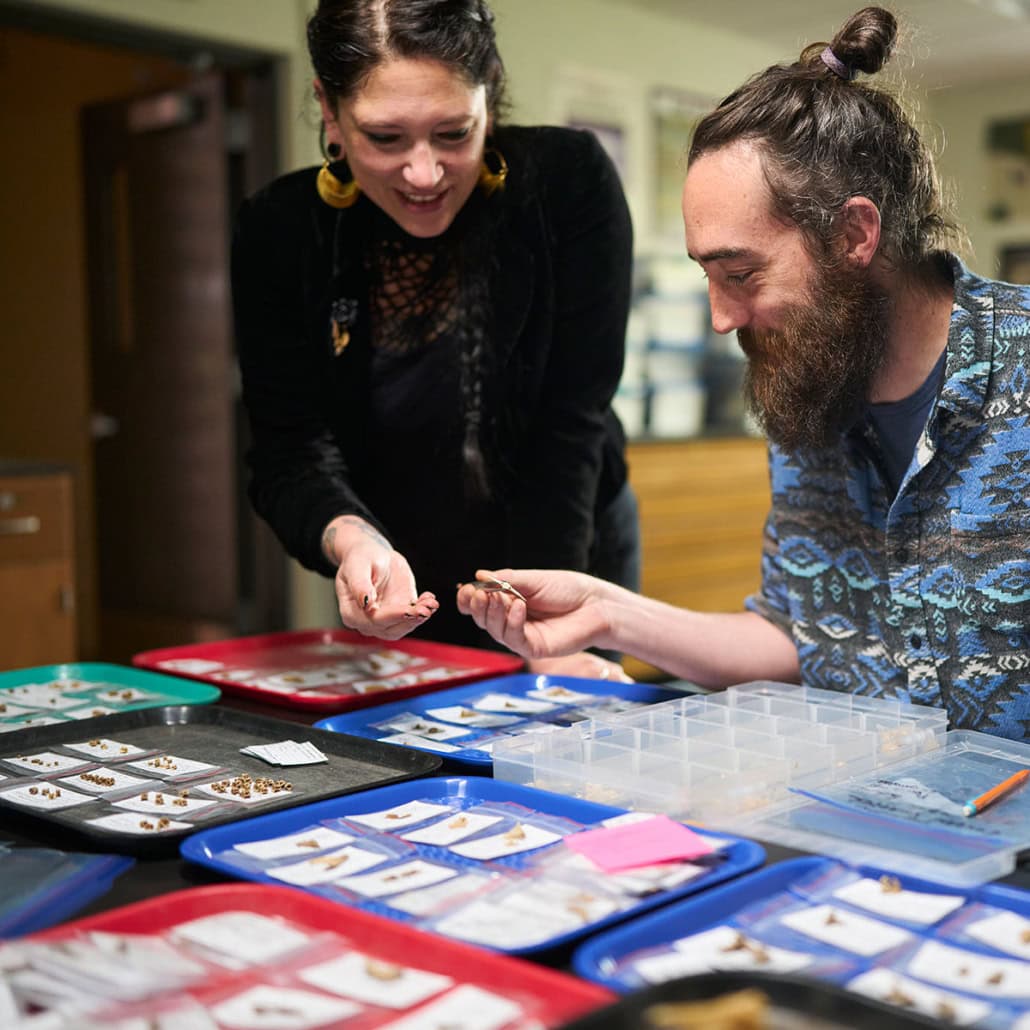 Social Sciences - Southern Oregon University