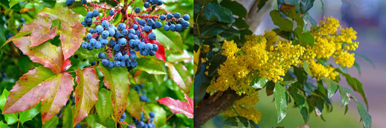 Chemistry Faculty Research - SOU Academic Programs