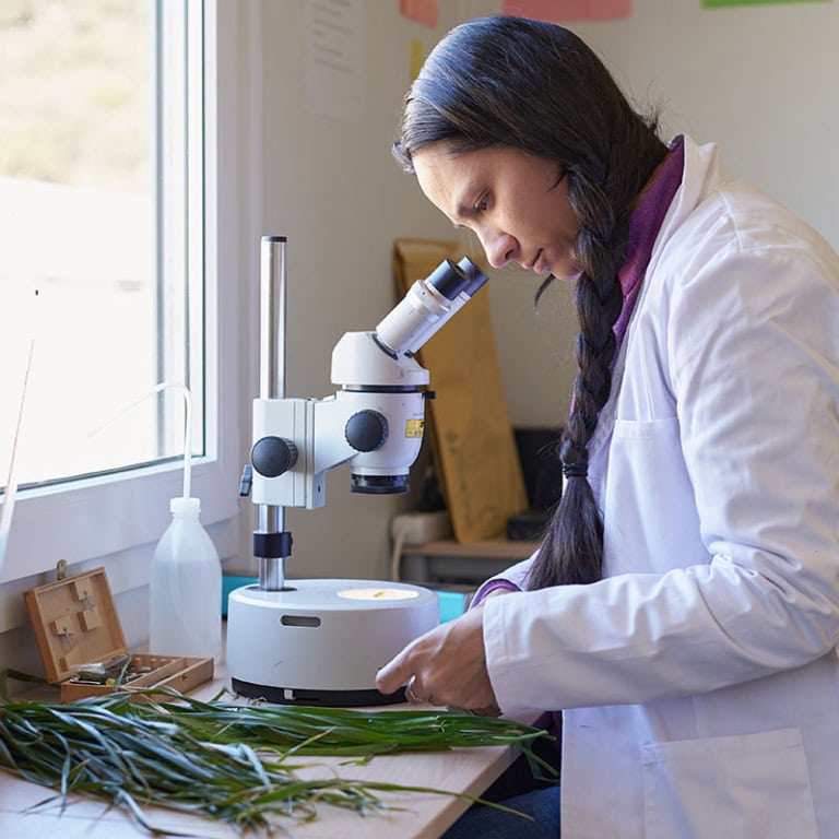 Certificate in Environmental Horticulture - SOU Academic Programs