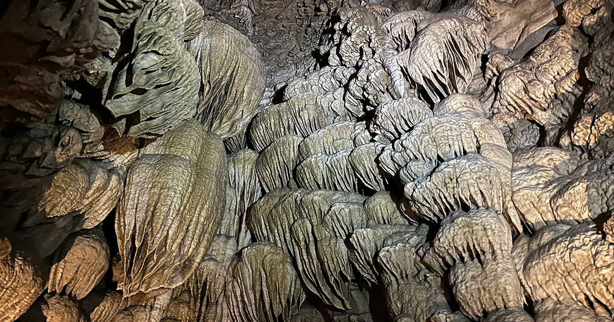 Oregon Caves National Monument EcoAdventure - SOU Academic Programs