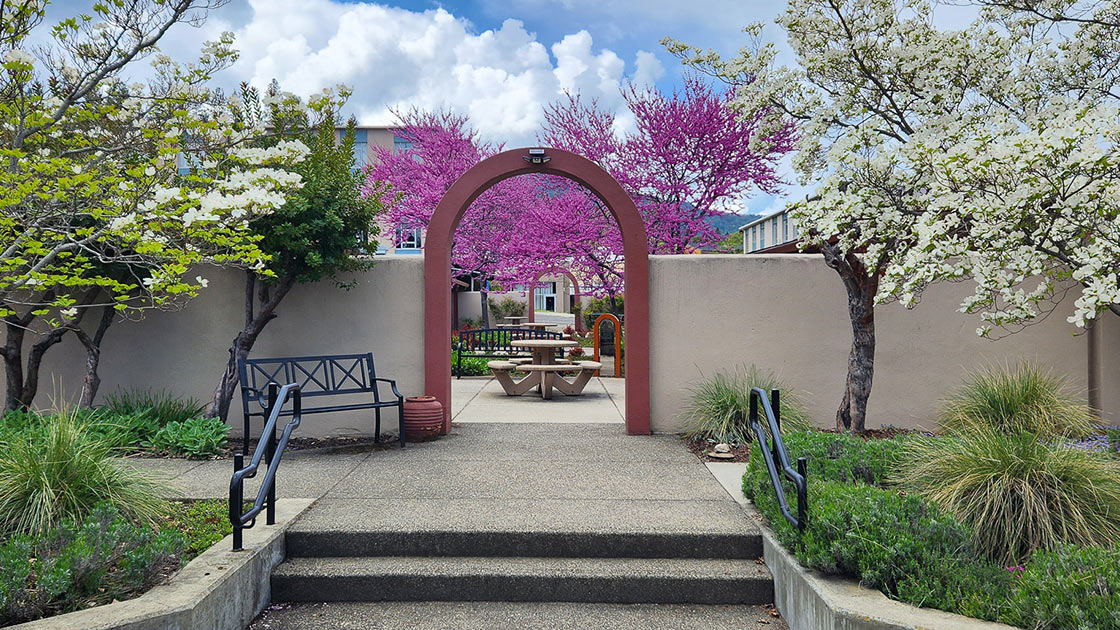 Contact Us - OLLI at SOU